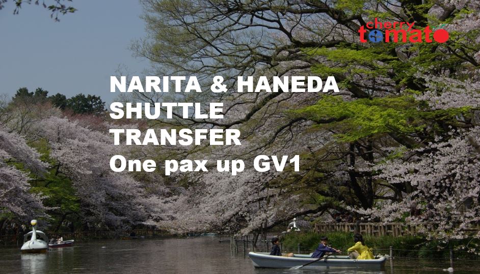 AISC Japan » Alpha International Service Corporation