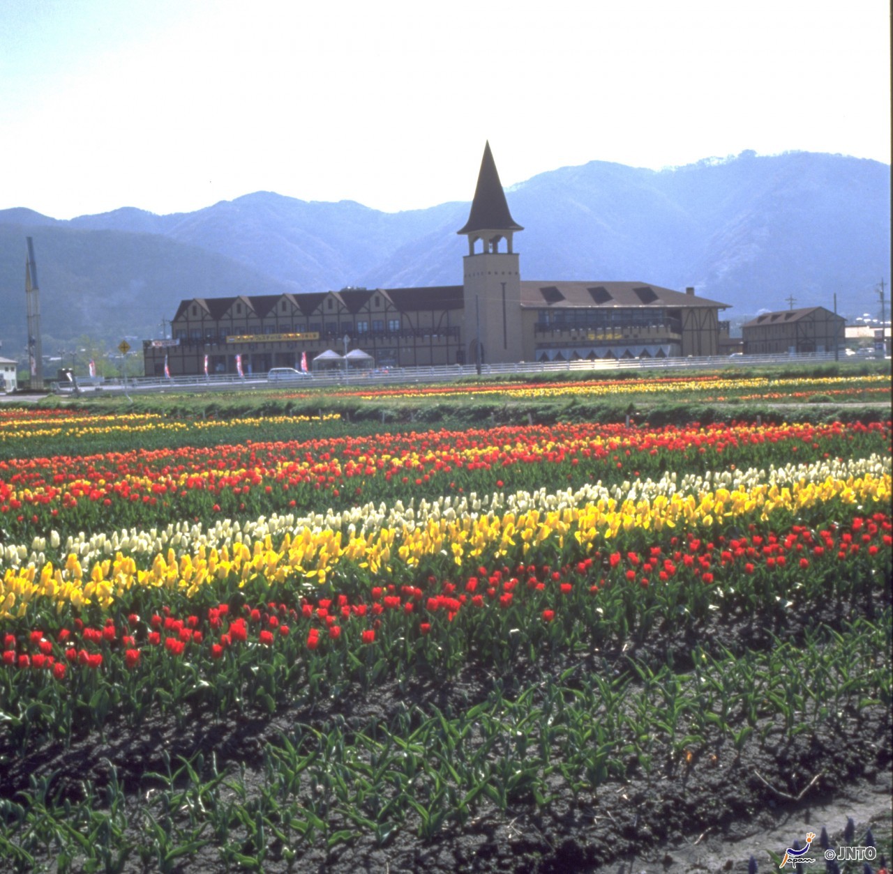 AISC Japan » Transfer