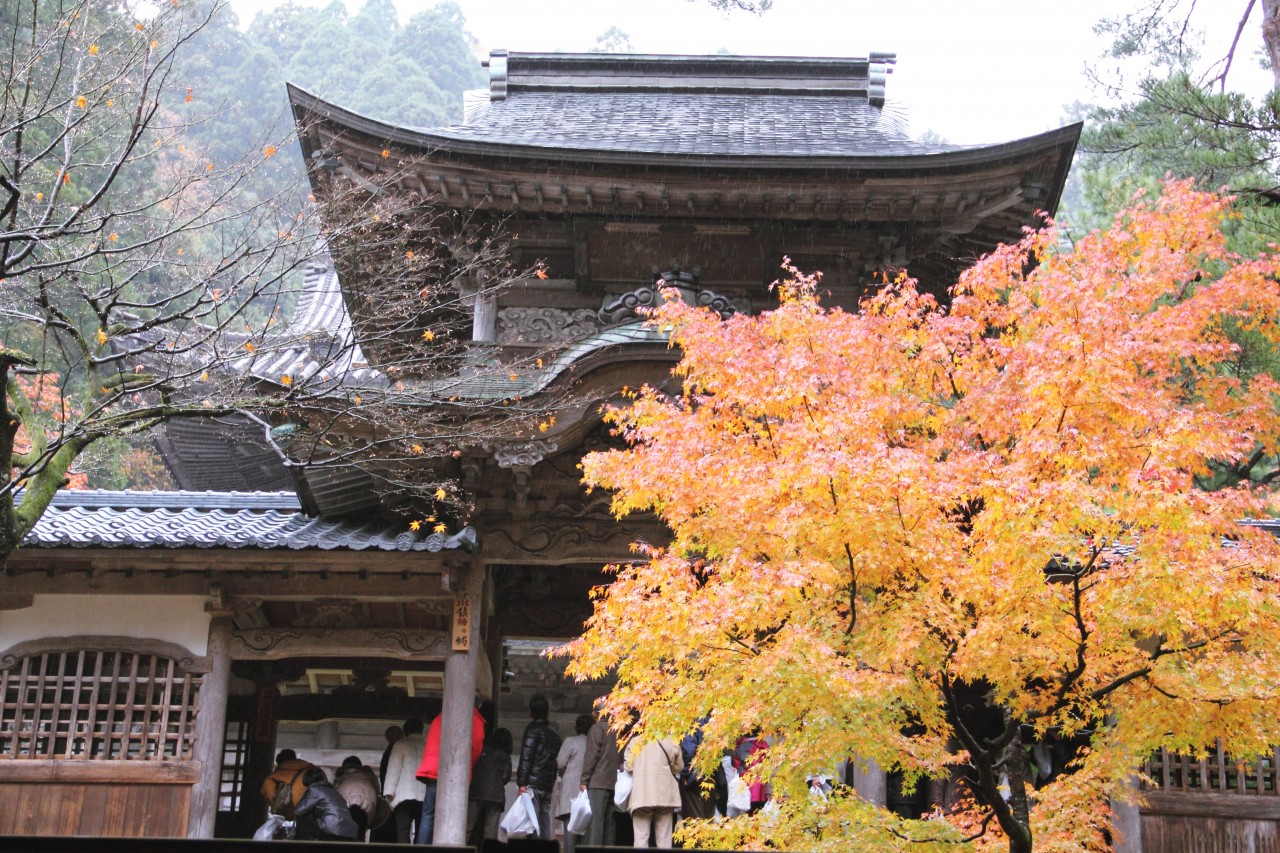 AISC Japan » 6. 7up Cherry Tomato Daily Coach Usage (Charter) » Page 8